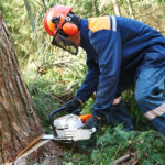 E & R Tree Service – Experience Matters